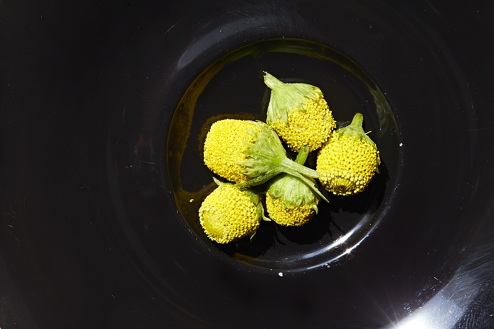 Cressperience 2021 - kochen-macht-schule.org